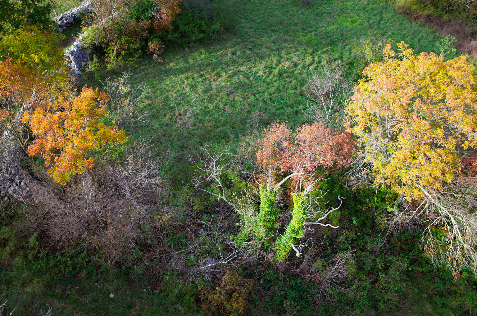 Prazgodovinski dragulj: gradišče Debela griža - Zmajsko društvo KAP Jasa